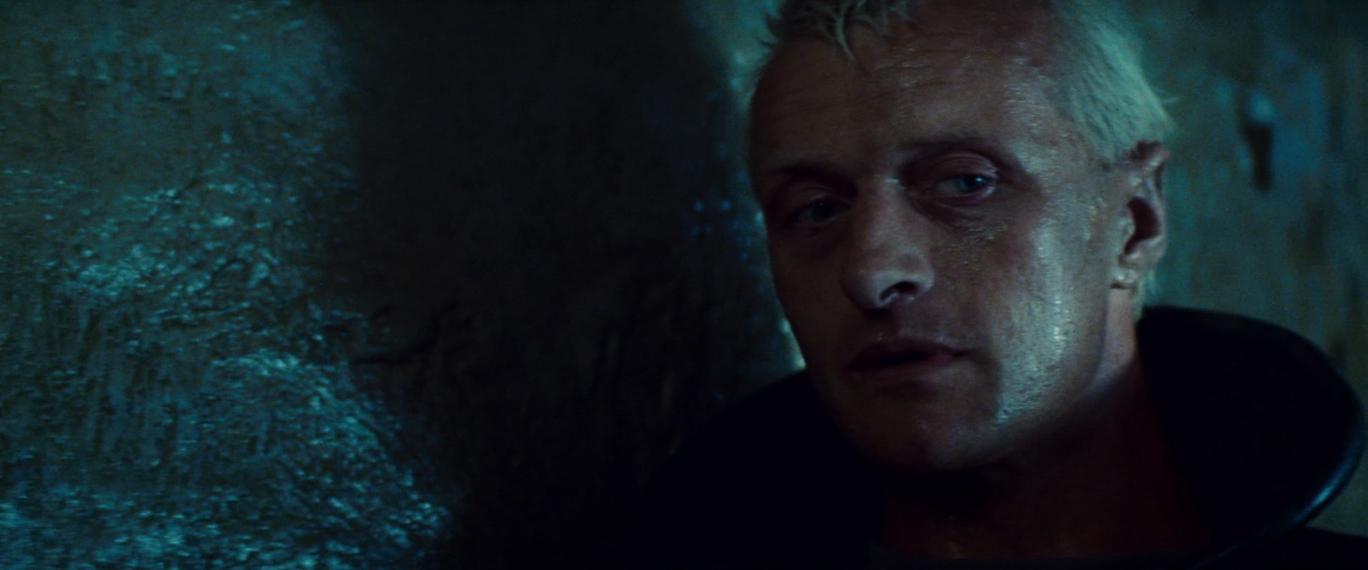 Blade Runner Review – Hogan Reviews