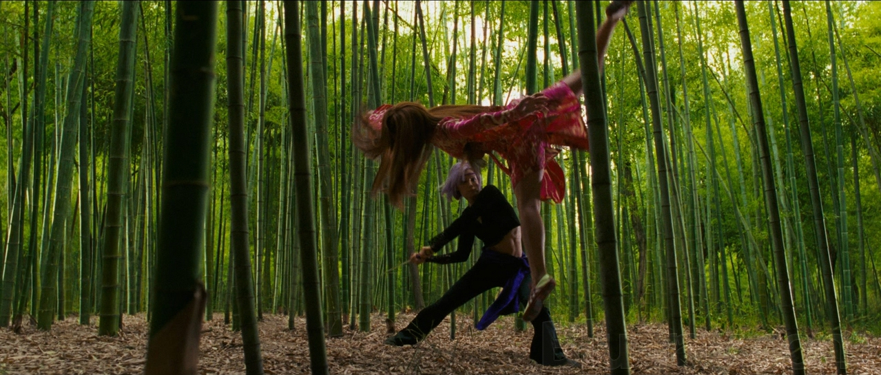 DOA: Dead or Alive Review – Hogan Reviews