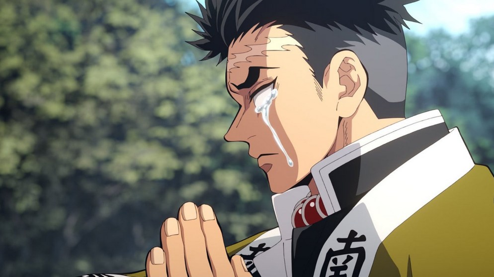Demon Slayer: Kimetsu no Yaiba – Hashira Training Arc Review – Hogan ...